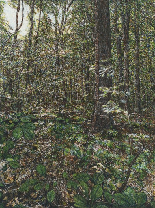A walk in the woods - Forrest Miller Paintings - Paintings & Prints ...