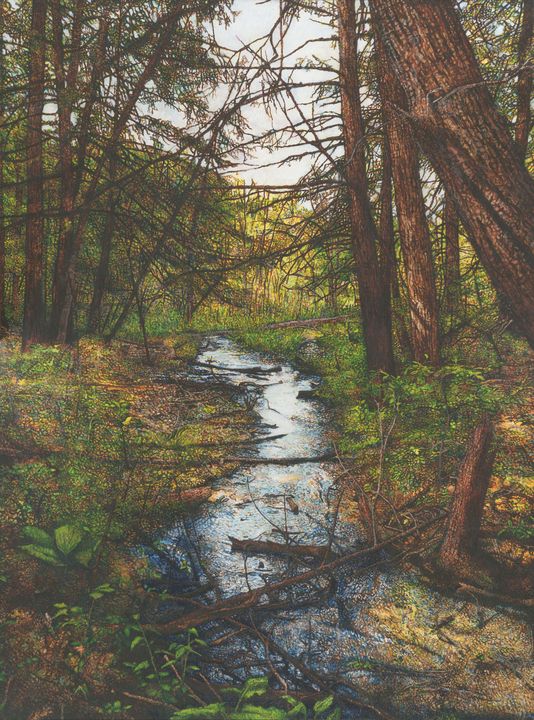 Peace in the Forest - Forrest Miller Paintings - Paintings & Prints ...