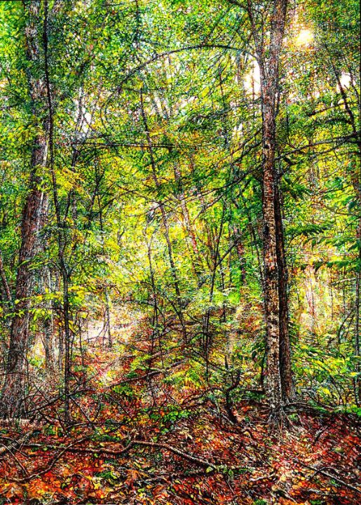 Sunny Day in the Forest - Forrest Miller Paintings - Paintings & Prints ...
