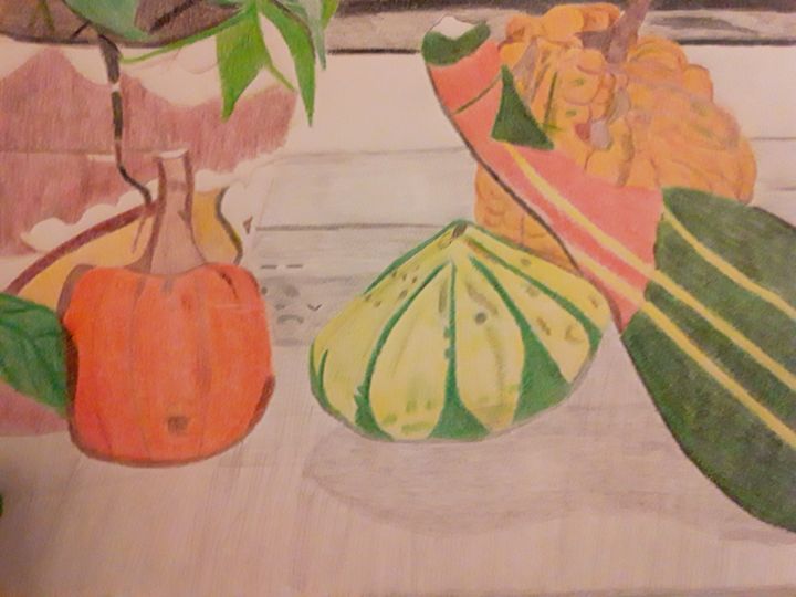 Gourds in Pencil - Gail Cavanaugh Art - Drawings & Illustration ...