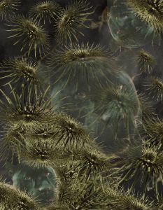 LJKP Innovations llc - Digital Art & AI, Drawings & Illustration