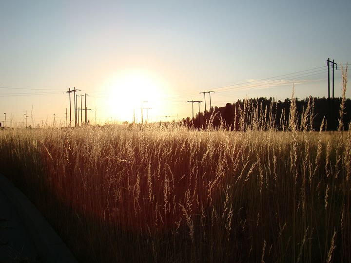Sunset field - Joe Snyder - Photography, Landscapes & Nature, Fields ...