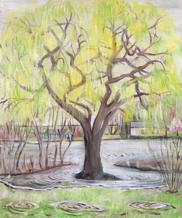 Weeping Willow Greets another Spring - Sally Anne Wake Jones ...
