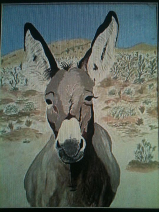Wild Burro - TalbotArt - Paintings & Prints, Animals, Birds, & Fish ...