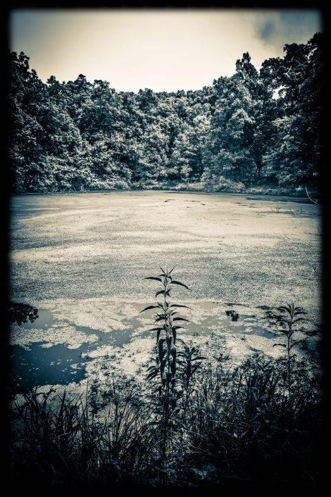 Pond - Bull Raven Productions - Photography, Landscapes & Nature, Lakes ...