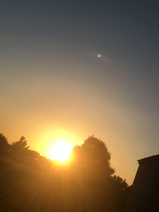 Golden Gleam - Summer Ritter - Photography, Landscapes & Nature ...