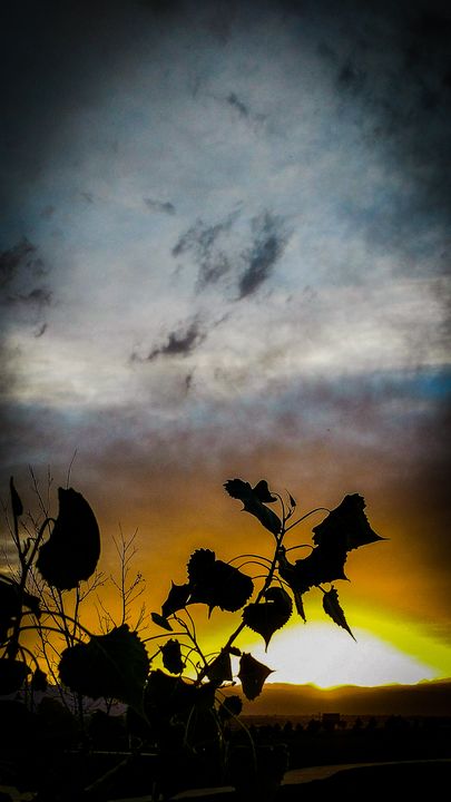 Real sunset - Chad Vidas Outdoors - Photography, Places & Travel ...