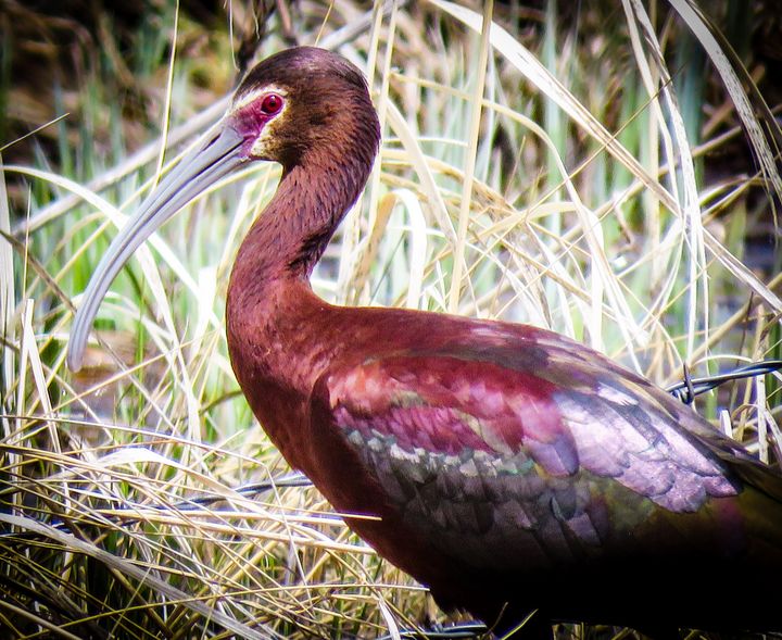 Beautiful - Chad Vidas Outdoors - Photography, Places & Travel, United ...