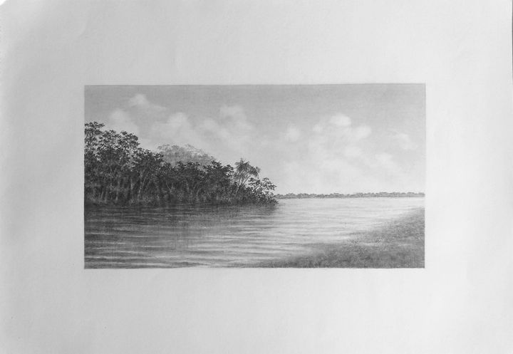 Amazon - Drawings & Illustration