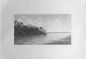 Amazon - Drawings & Illustration