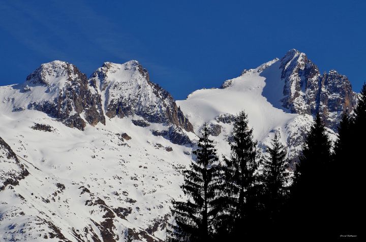 Pascal - Photography