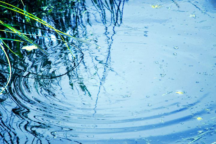 Blue Ripples - Wildlifekeeper - Digital Art & AI, Landscapes & Nature ...