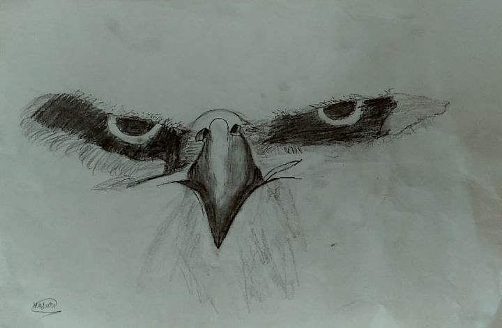 distorted_arts - Drawings & Illustration