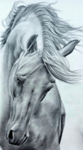 Boyan Gallery - Drawings & Illustration