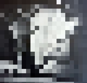 Boyan Gallery - Drawings & Illustration