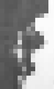 Boyan Gallery - Drawings & Illustration