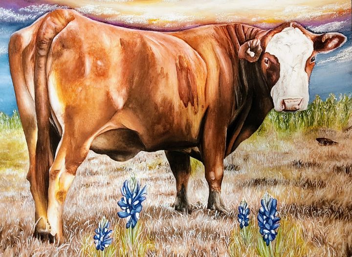 Western Cow - Emily Kate Art - Paintings & Prints, Animals, Birds ...