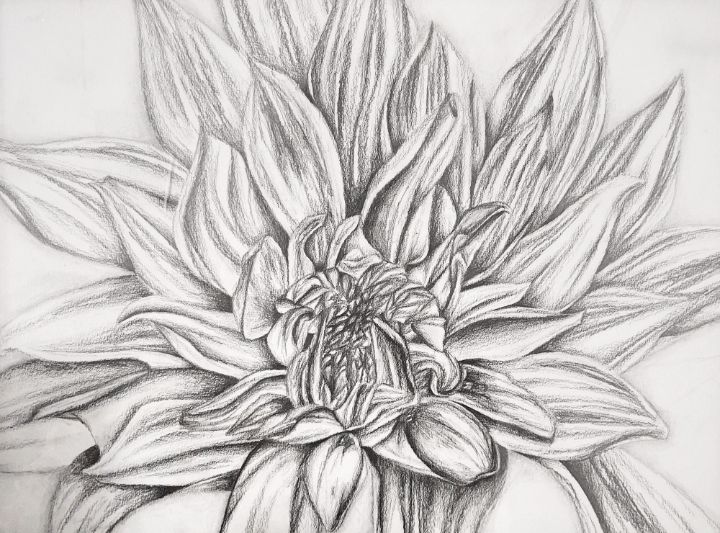 Flower Drawing - Emily Kate Art - Paintings & Prints, Flowers, Plants ...