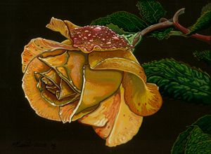 Yellow rose study. - Five Styx Studio - Paintings & Prints, Flowers ...