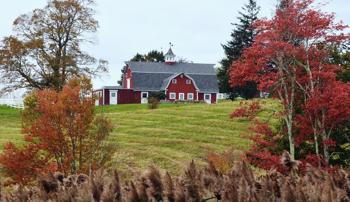 Red Barn, Red Leaves - NatureBabe Photos - Photography, Buildings ...