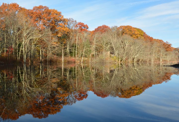 November Reflections - NatureBabe Photos - Photography, Landscapes ...