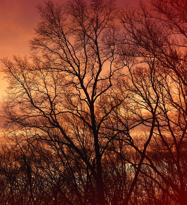 January Sunset Skies - NatureBabe Photos - Photography, Landscapes ...