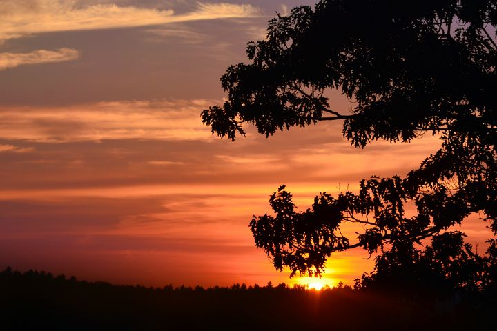 August Sunset Silhouette - NatureBabe Photos - Photography, Landscapes ...