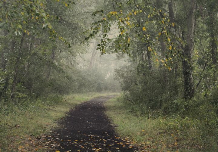 September Morn - NatureBabe Photos - Photography, Landscapes & Nature ...