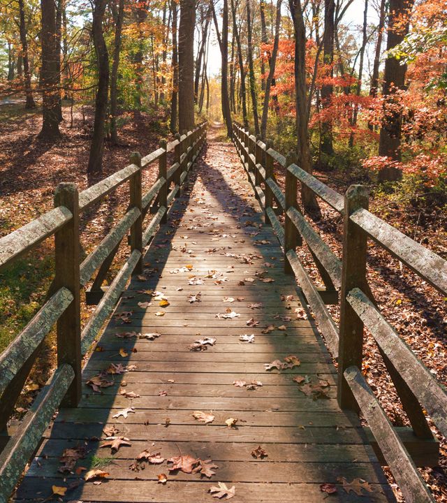 Gillette's Castle Rail-Trail - NatureBabe Photos - Photography ...