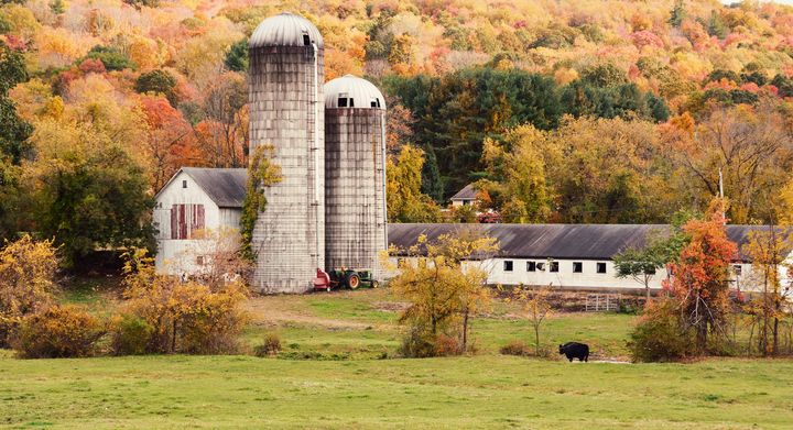 Rustic Connecticut Countryside - NatureBabe Photos - Photography ...