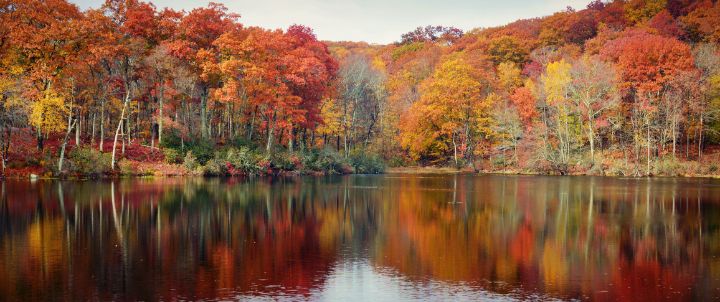 Autumn at Beamon Pond - NatureBabe Photos - Photography, Landscapes ...