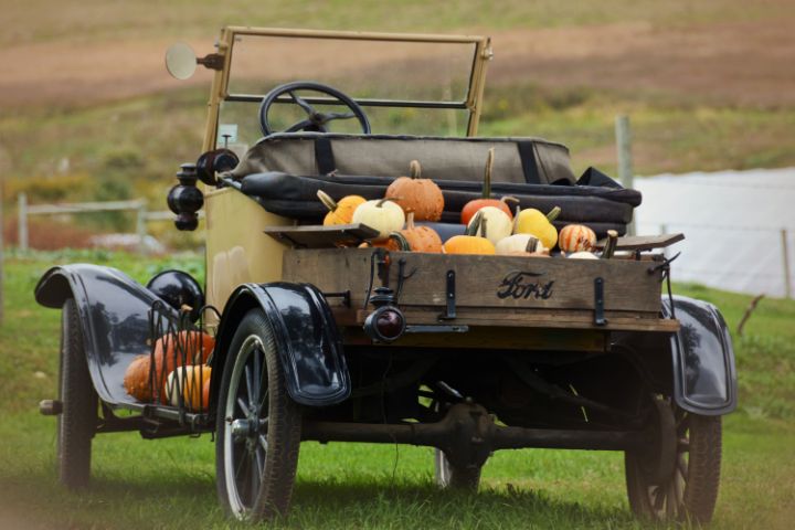 Vintage Ford at the Farm - NatureBabe Photos - Photography, Vehicles ...
