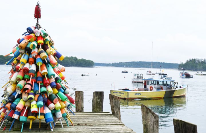 Friendship, Maine Lobster Wharf - NatureBabe Photos - Photography ...