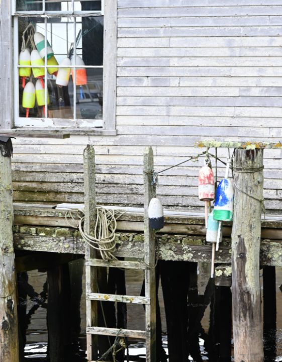 Rustic Maine - NatureBabe Photos - Photography, Places & Travel, United ...