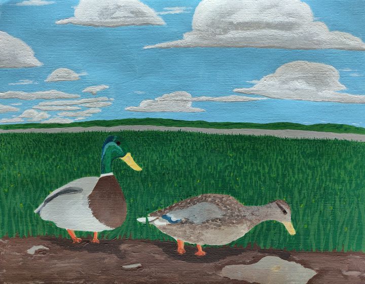 Wetland Ducks - Brittany Pollard Artwork - Paintings & Prints, Animals ...