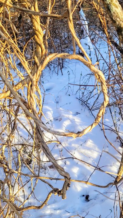 J. - Photography, Paintings & Prints