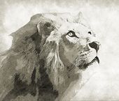 Min Art - Paintings & Prints