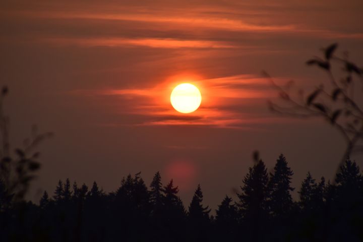 A red sun - Ngtimages - Photography, Astronomy & Space, Sun - ArtPal