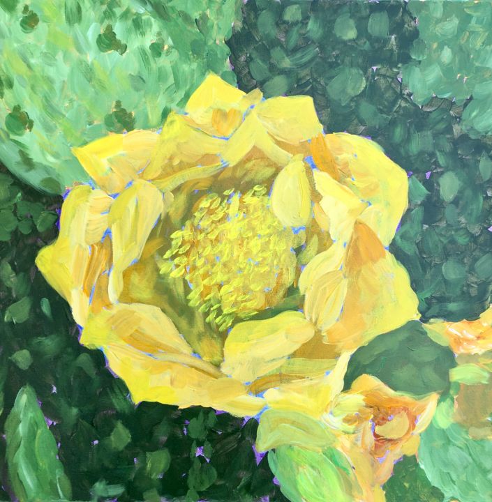 CACTUS FLOWER - Evie Walberg's Contemporary Fine Art & Photography ...