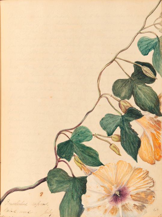 Nourse Family~Nourse Family Sketchbo - Old classic art - Paintings ...