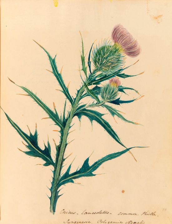 Nourse Family~Nourse Family Sketchbo - Old classic art - Paintings ...