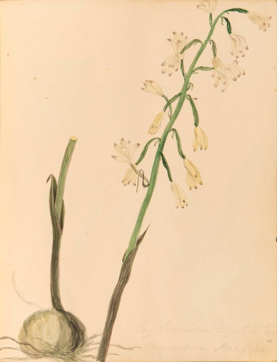 Nourse Family~Nourse Family Sketchbo - Old classic art - Paintings ...