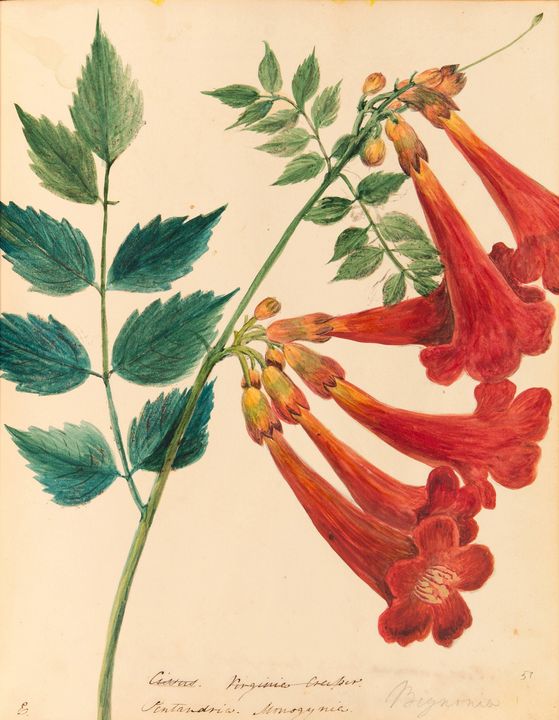 Nourse Family~Nourse Family Sketchbo - Old classic art - Paintings ...