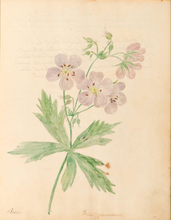 Nourse Family~Nourse Family Sketchbo - Old classic art - Paintings ...