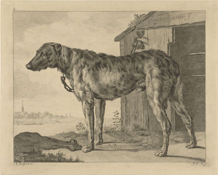 Paulus Potter, Pieter Symonsz Potter - Old classic art - Paintings ...