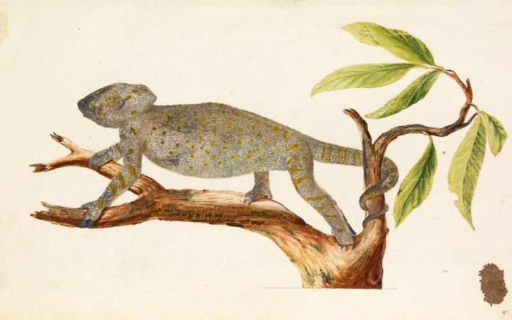 Richard Waller (d. 1715)~Egyptian ch - Old classic art - Paintings ...