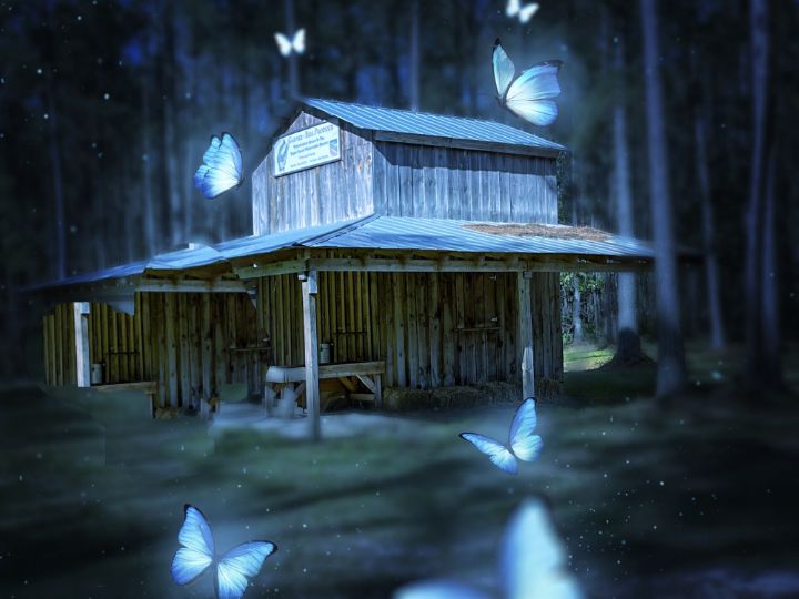 Mill Creek - Lithium Girl Photography - Photography, Places & Travel ...