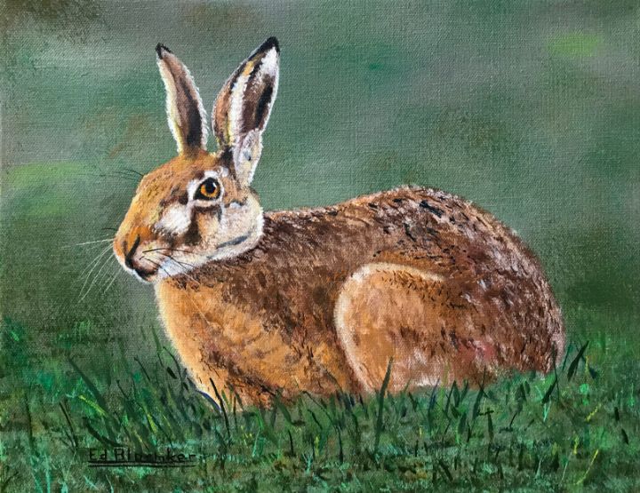Babbit the Rabbit - Ed Bloemker Art - Paintings & Prints, Animals ...