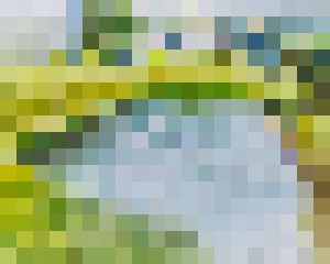 landscape - thiruni nuwandi - Paintings & Prints, Landscapes & Nature, Lakes & Ponds - ArtPal