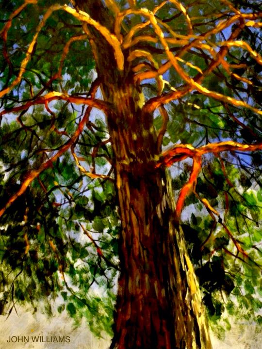 Tree Bien - Missouri Artist John Williams - Paintings & Prints, Flowers ...